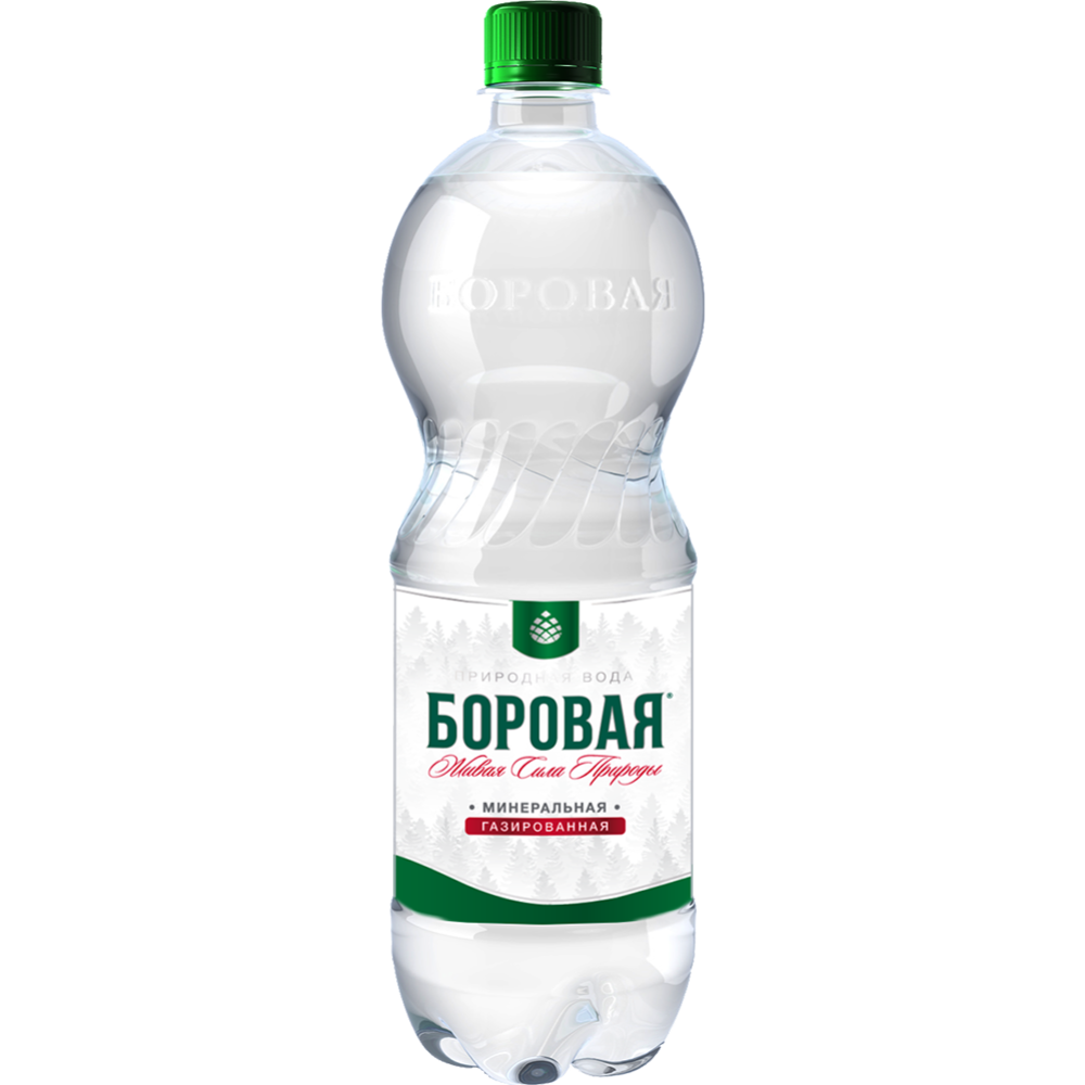 Вода ми­не­раль­ная «Бо­ро­ва­я» га­зи­ро­ван­ная, 1 л купить с ...